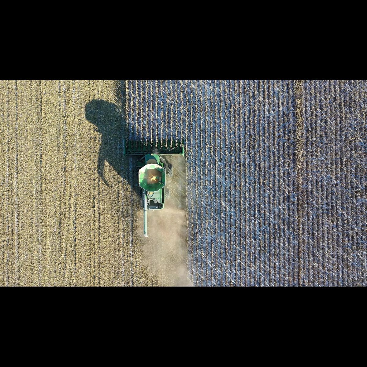The Future of Farming
